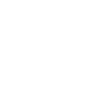 - Expert Gaming