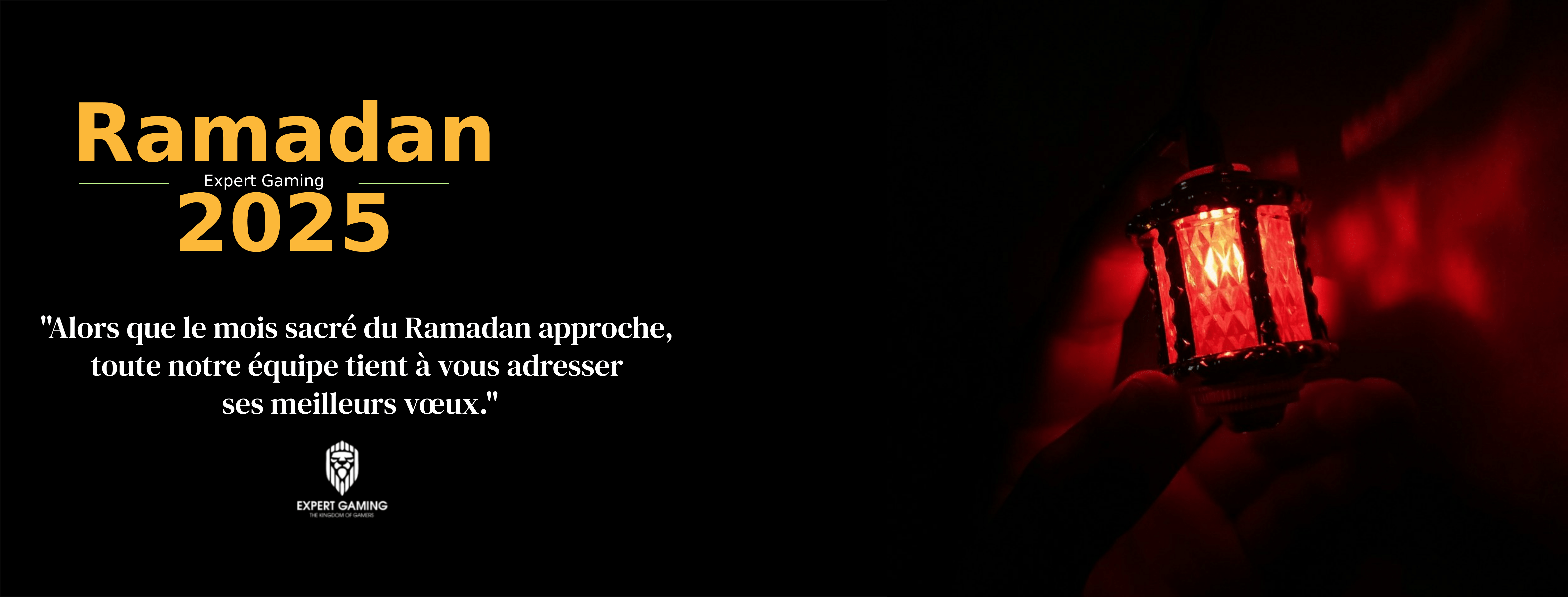 Expert Gaming - PC Gaming Tunisie - Composant et Accessoires